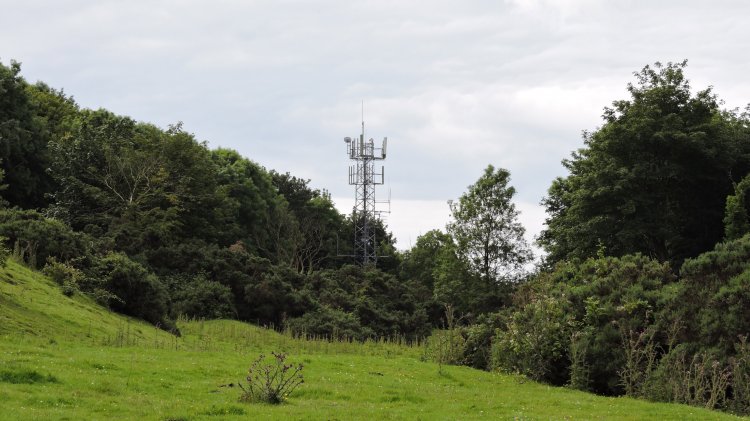 mb21 - The Transmission Gallery