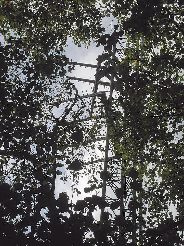 mb21 - The Transmission Gallery