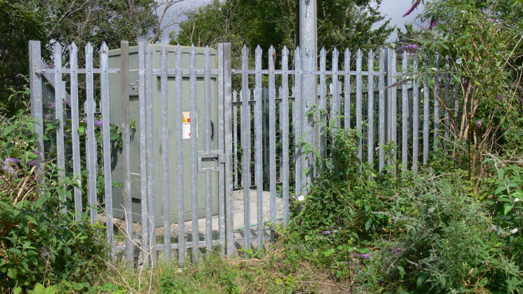 mb21 - The Transmission Gallery