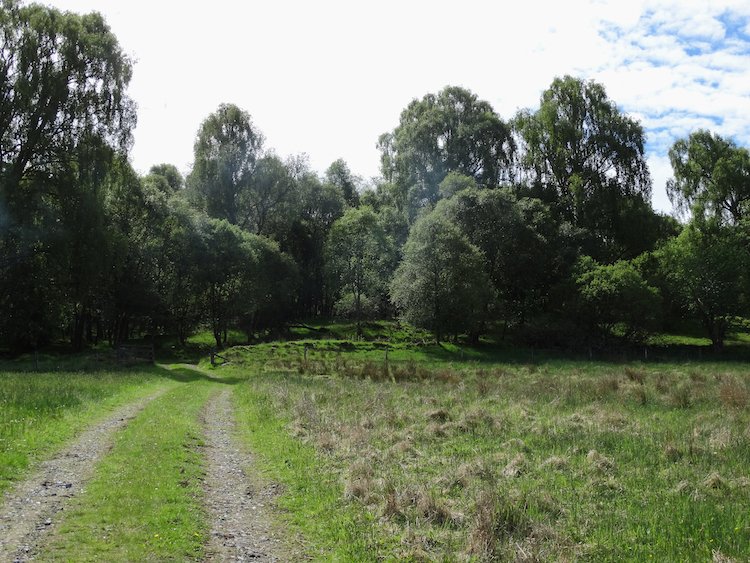 mb21 - The Transmission Gallery