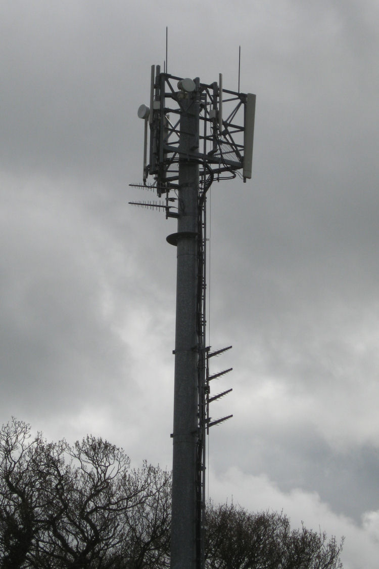 mb21 - The Transmission Gallery