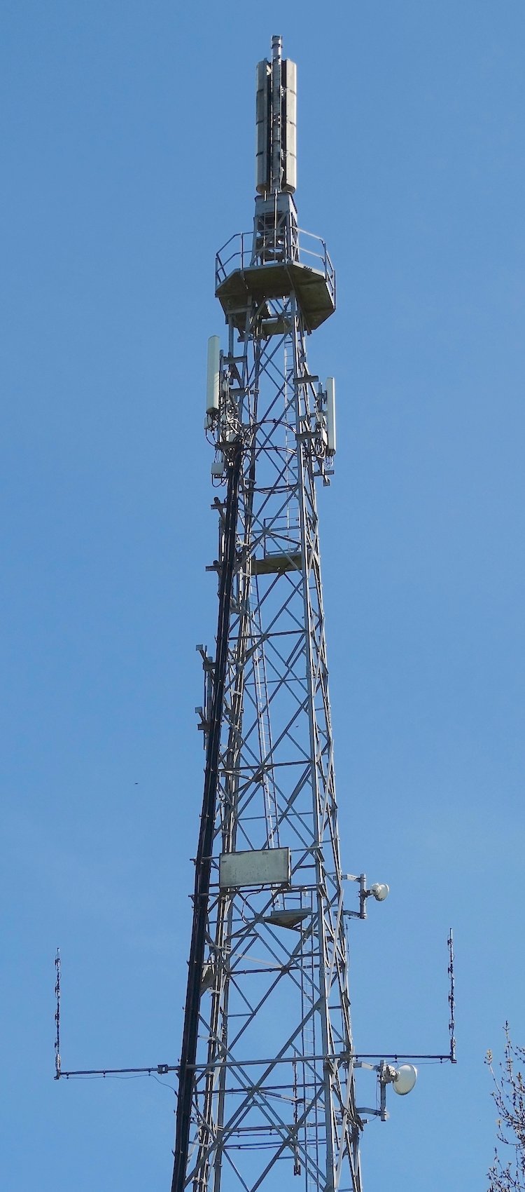 mb21 - The Transmission Gallery