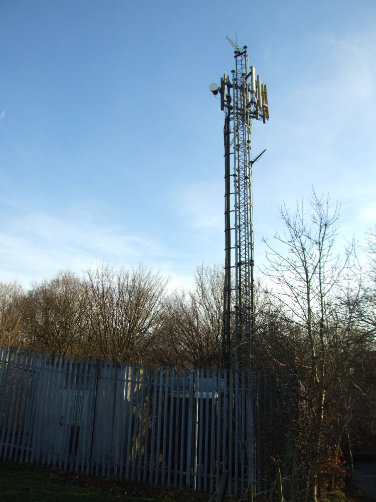 mb21 - The Transmission Gallery